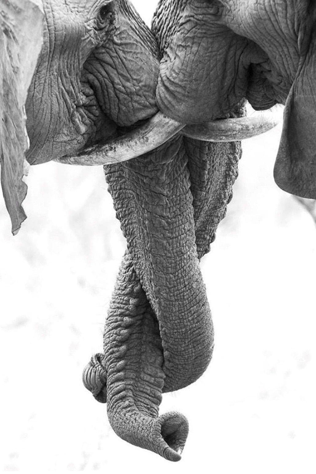 MAKE SOMEONE YOU LOVE HAPPY GIFT CARD - $200, hand made - MOMO NE...